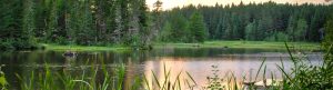 Wilson Pond Cabins | Rental Cabins & Boats | Greenville, Maine